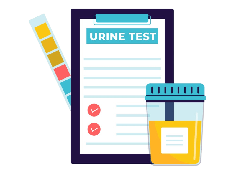 pH Level to Conceive a Boy – Gender Selection Kit